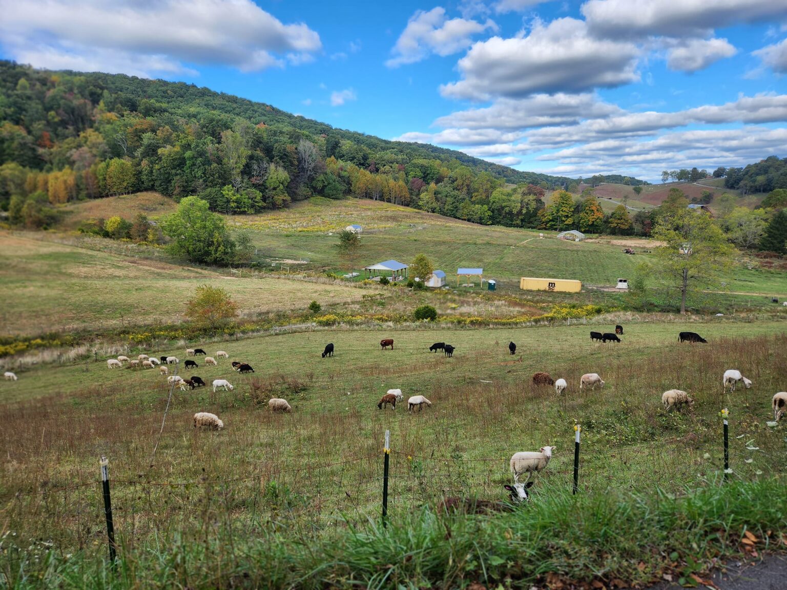 Friendly Farm - Tennessee Agritourism Association
